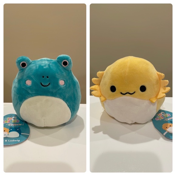 Squishmallows | Other | Nwt 5 Bertwin The Bearded Dragon Ludwig The ...